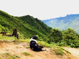 Meditation with Monks | Dodeydra Monastery | Bhutan Inbound