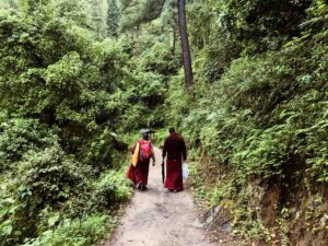 Meditation with Monks | Dodeydra Monastery | Bhutan Inbound