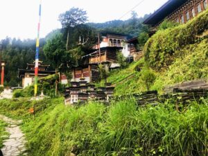 Meditation with Monks | Dodeydra Monastery | Bhutan Inbound