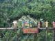 Meditation with Monks | Dodeydra Monastery | Bhutan Inbound