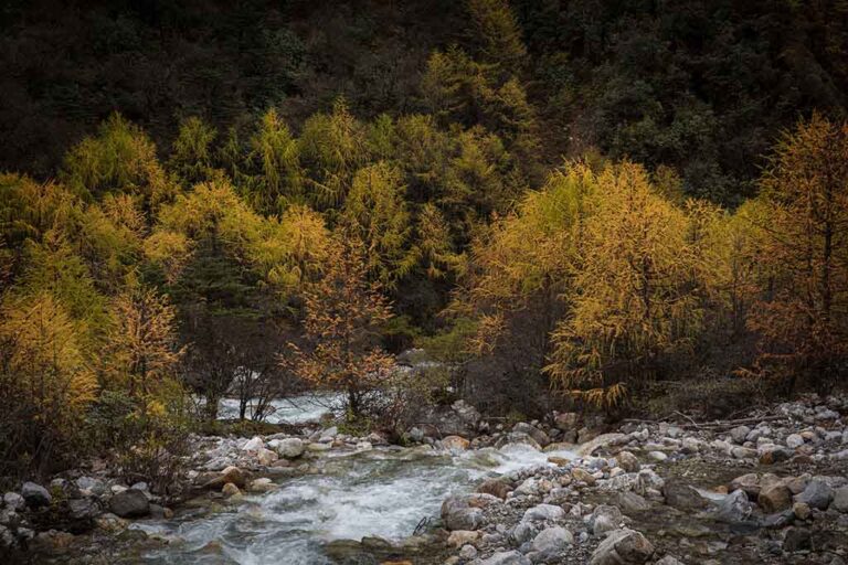 Gasa Bhutan | Places To Visit in Bhutan | Bhutan Inbound