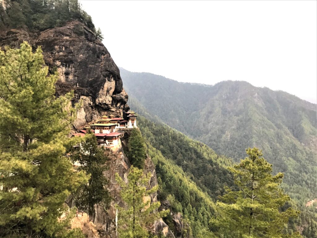 Enjoy Bumdra Trek and Camping | Bhutan Inbound Tour