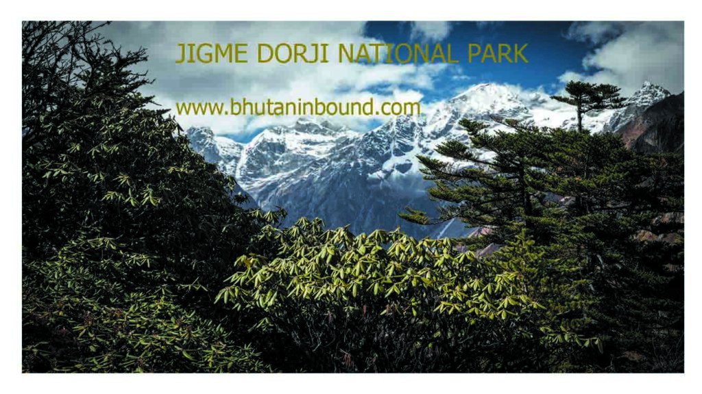 Jigme Dorji National Park | Bhutan Best Inbound Tour